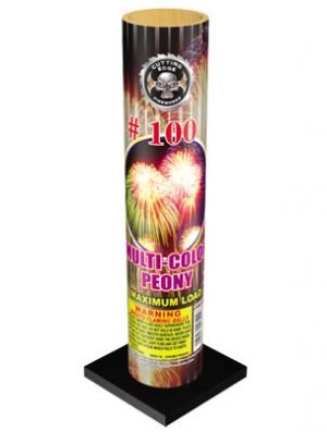 multi coloured peony